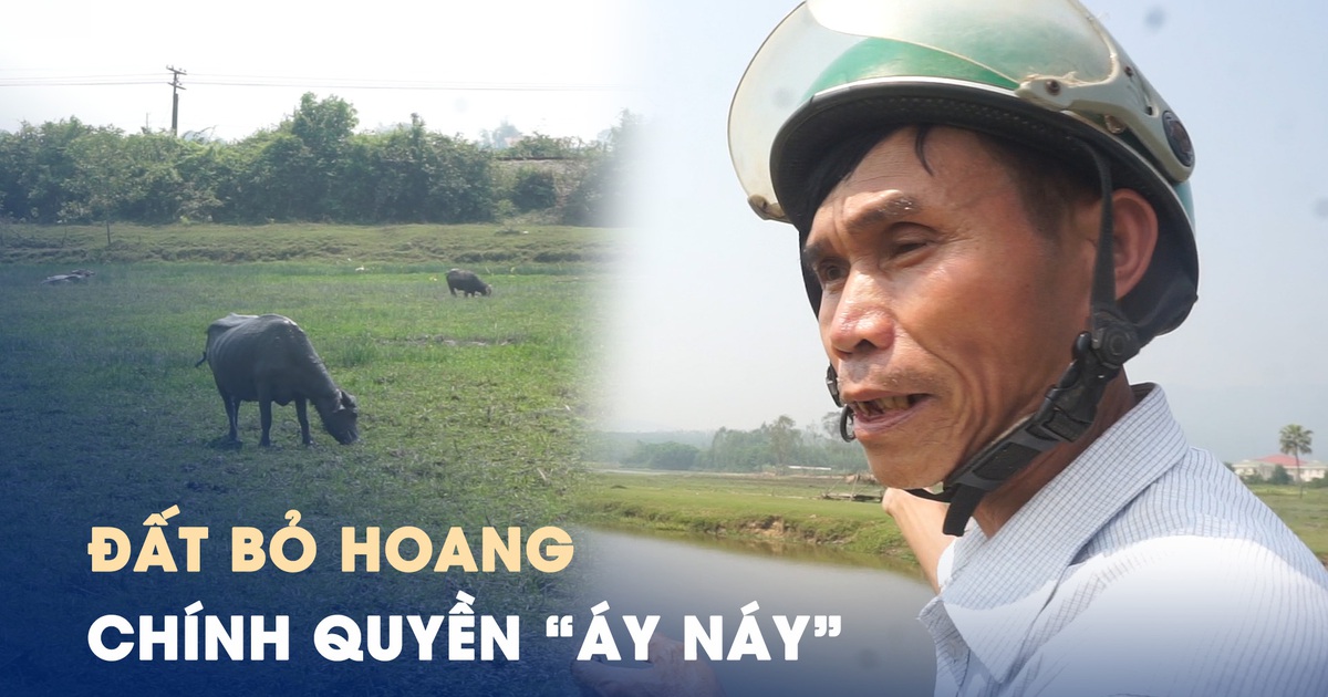 Đất trồng lúa bỏ hoang suốt 25 năm vì nhà máy nước