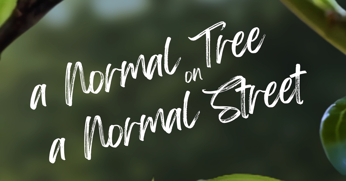'A normal tree on a normal street' | Cuộc thi phim ngắn Vietnamese 2025