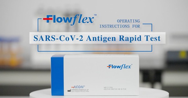 CEO Bảo Trần và hành trình trở thành nhà phân phối kit test nhanh ...